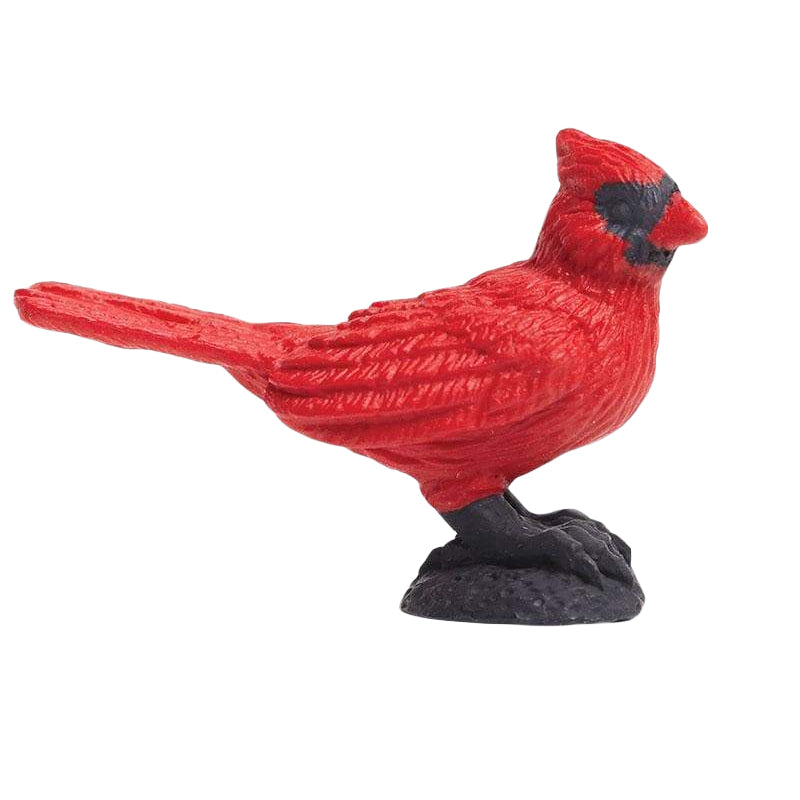 Good Luck Mini | Cardinal | Domestic Domestic