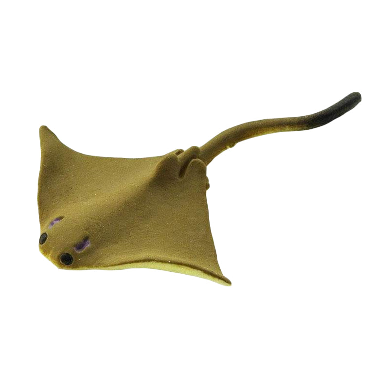 Good Luck Mini | Cownose Ray | Domestic Domestic