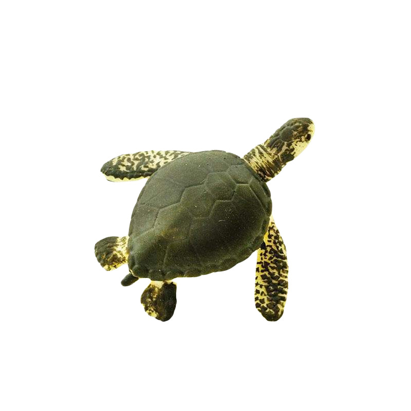 Good Luck Mini | Sea Turtle | Domestic Domestic